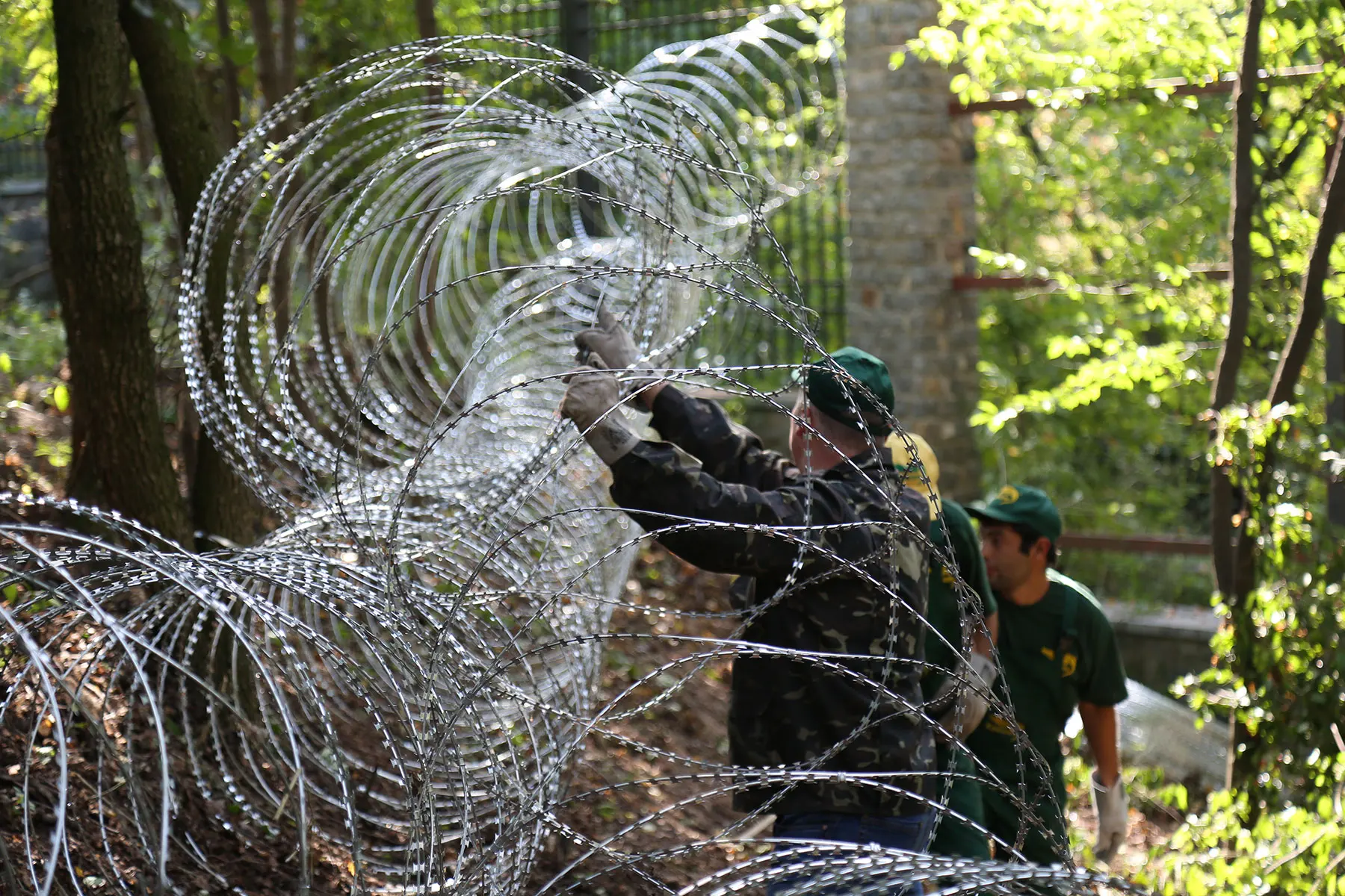 Installation de fil de rasoir Egoza | Caiman