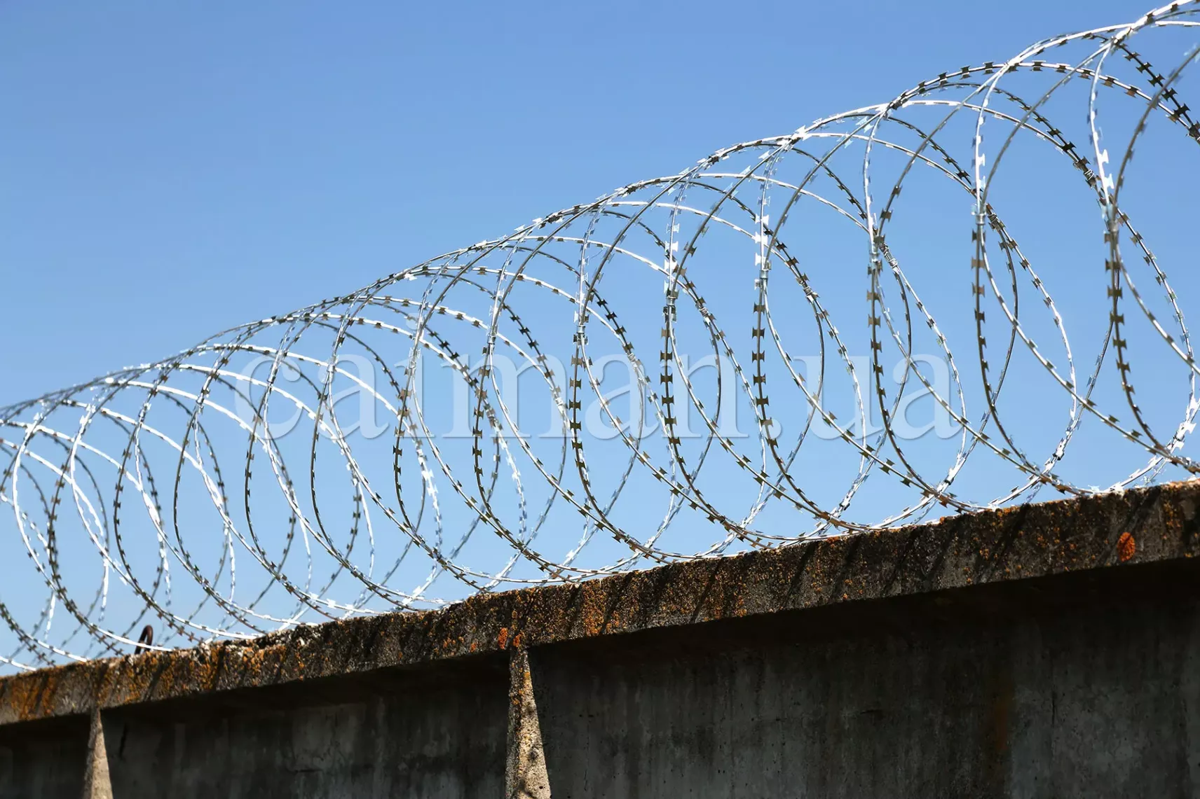 Concertina Wire | Caiman