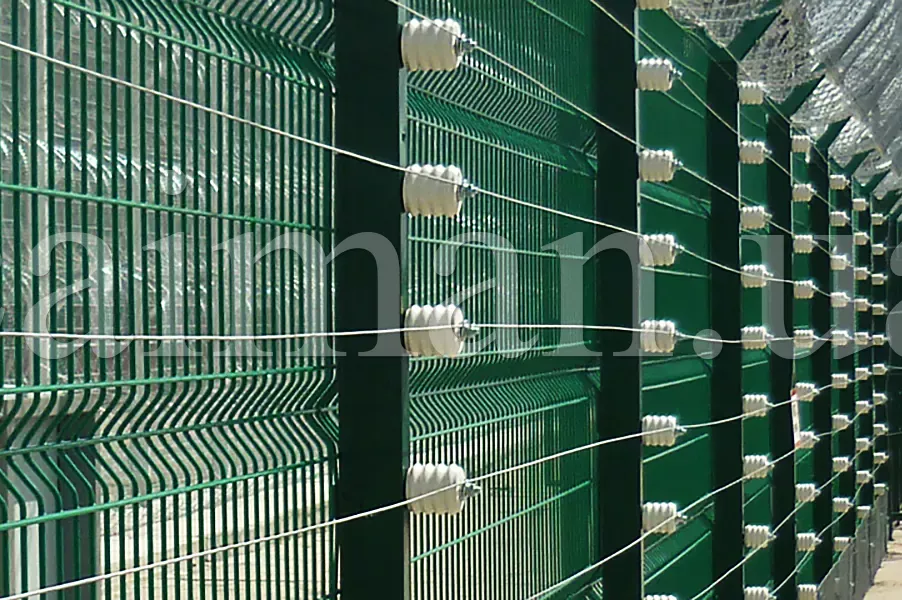 Electroconvulsive Security Systems | Caiman