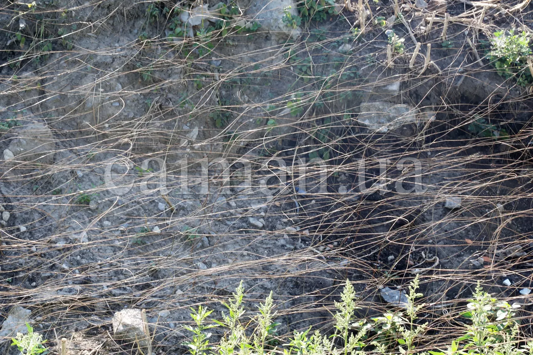 Low-Visibility Wire Net | Caiman